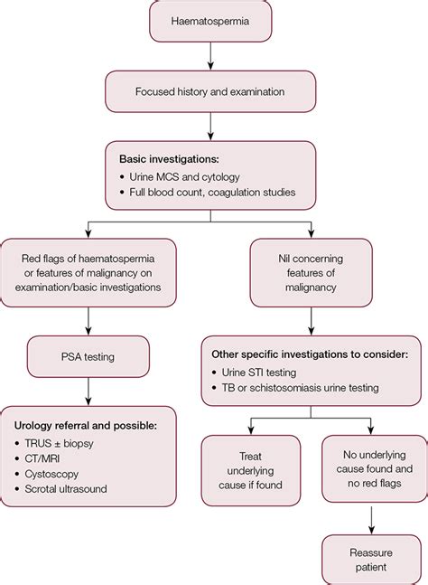 Racgp Haematospermia Racgp Haematospermia