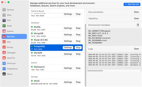 Postgresql Laravel Herd