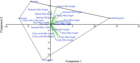 Pca Principal Component Analysis Scatter Plot According To