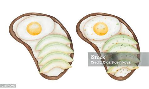 수채화 아보카도 그림입니다 손으로 그린 아보카도 토스트 샌드위치 얇게 썬 아보카도 삶은 달걀 갈색 빵 크림 치즈 버터 향신료 후추 아침 식사 식사 음식 세트 고립된 클립