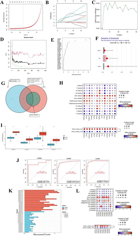 Multiple Machines Learn To Screen For Sepsis Signature Genes A B Download Scientific Diagram