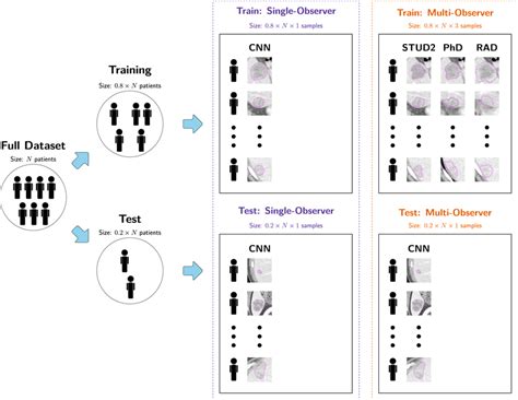 Schematic Overview Of The Evaluation Setup In A Single Random Split