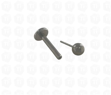 Classic Ball Labret Bars Labret Bars