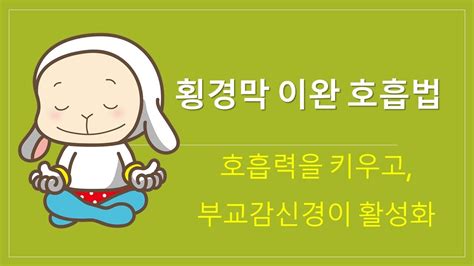 횡경막 이완 호흡법 스트레스 해소 부교감신경 활성화 Youtube