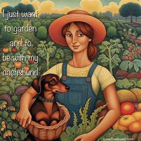 I Love Dachshunds Added A New Photo I Love Dachshunds