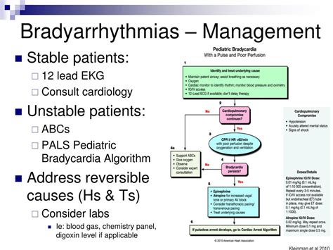 Ppt Bradycardia Powerpoint Presentation Free Download Id 2964959
