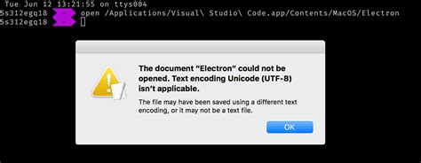The Application Visual Studio Code App Cant Be Opened Issue Microsoft Vscode GitHub