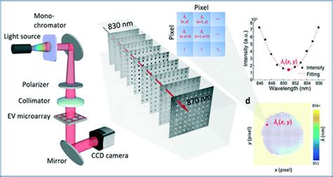 Hyperspectral Imaging Based Exosome Microarray For Rapid Molecular