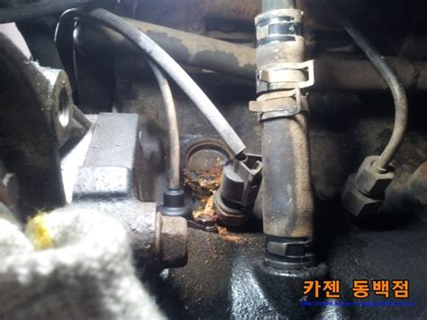용인 동백 자동차 정비 튠업 전문 카센타 카젠 동백점 투싼 동파 방지 플러그 교환부동액 누수냉각수 부식물뽕엔진부식녹물동백카젠냉각라인순환저항 네이버 블로그