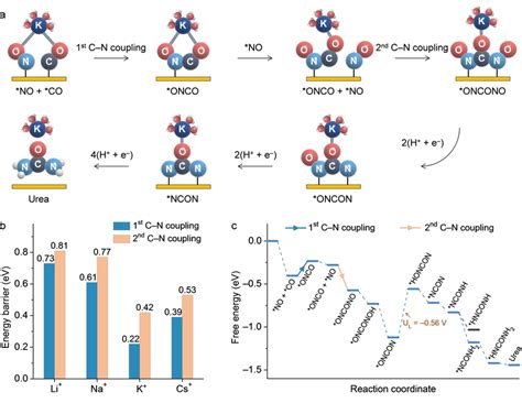 Theoretical Calculation Results For Urea Synthesis A Schematic
