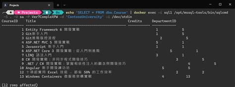 直接將 T Sql 命令透過 Stdin 的方式傳入 Sql Server Linux 容器執行的方法 The Will Will Web