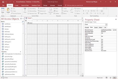 MS Access Controls Properties
