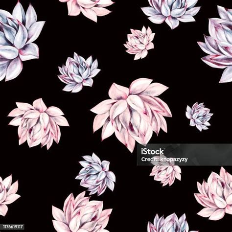 다육 식물 조약돌 돌 다채로운 원활한 패턴 프로젝트 결혼식 인사말 카드 포장 벽지 패턴 질감 덮개에 적합합니다 0명에 대한 스톡 벡터 아트 및 기타 이미지 Istock