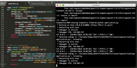 Python Issue Using Print Statements While Debugging Log In Terminal
