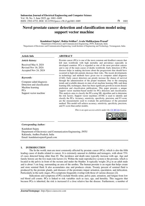 Pdf Novel Prostate Cancer Detection And Classification Model Using