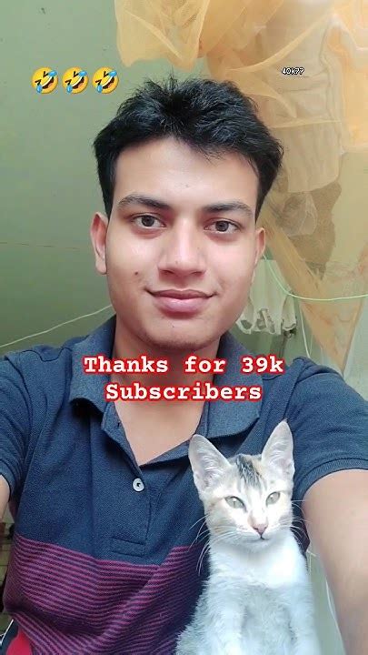 Look At Rusha The Cute Kittie ️😍 Cat Catvlog Shortsvideo Shorts Subscribe Youtube