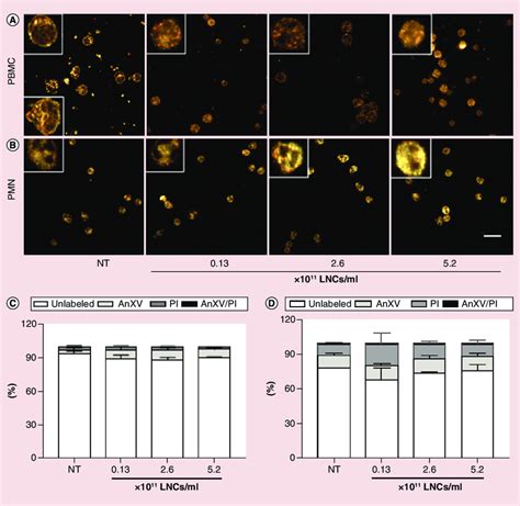 Lipid Core Nanocapsules Up Taken Did Not Alter Cell Viability And