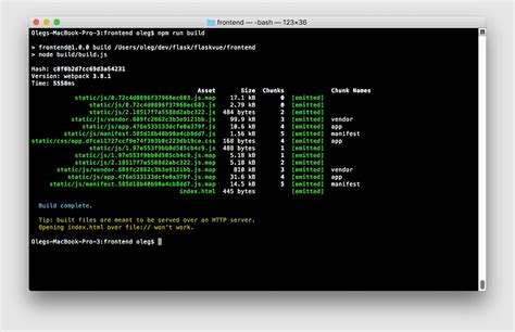 Python Server Pages Cron Vuejs Solution Stack Execution Npm Front