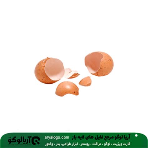 عکس Png تخم مرغ کد 16 آریا لوگو مرجع فایل های لایه باز