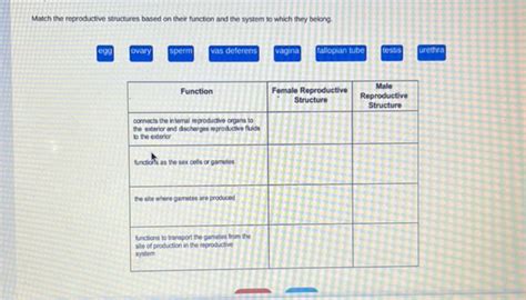 Match The Reproductive Structures Based On StudyX