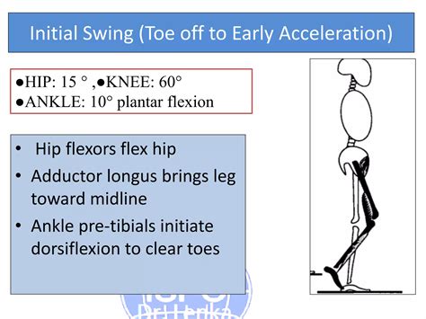 Kinetics And Kinematics Paramters In Gait Pdf Physical Therapy