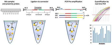 Proximity Ligation Assay From A Foundational Principle To A Versatile