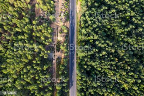 소나무 숲에서 아스팔트 도로에 무인 항공기에서 공중 보기 경관에 대한 스톡 사진 및 기타 이미지 경관 고속도로 곡선 Istock