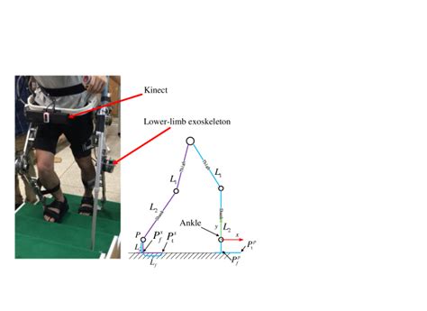 Gait Graph Optimization Generate Variable Gaits From One Base Gait For Lower Limb