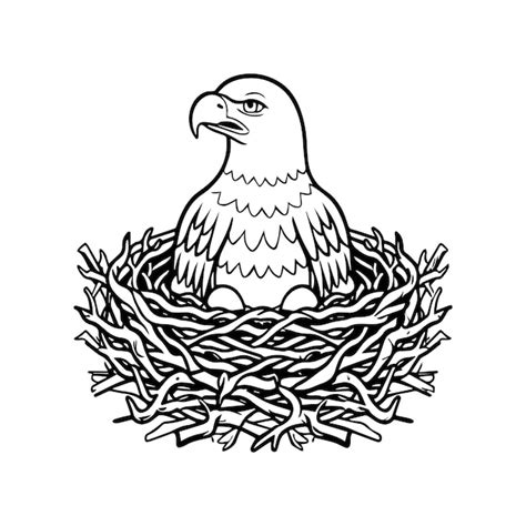 Premium Vector Eagle Coloring Pages Eagle Bird Outline Vector For