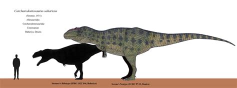 Carcharodontosaurus Size Comparison