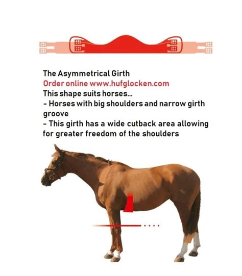 Chinga De Dresaj Dimensiuni Uzuale Si Utilizare Batesaua