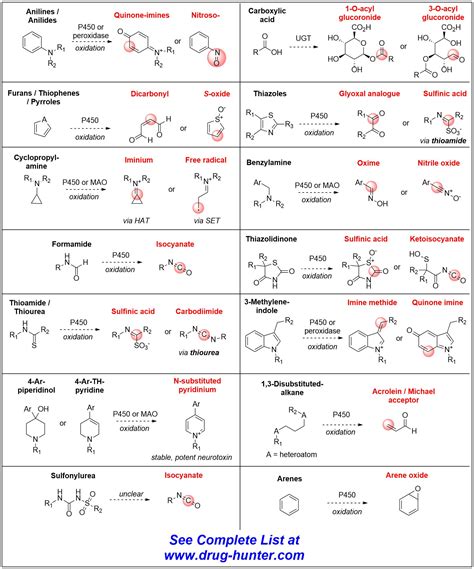 Functional Groups Biochemistry