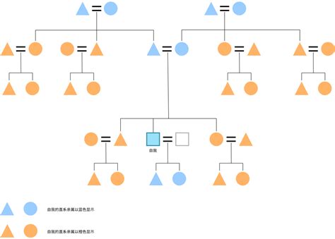 亲缘关系图模板