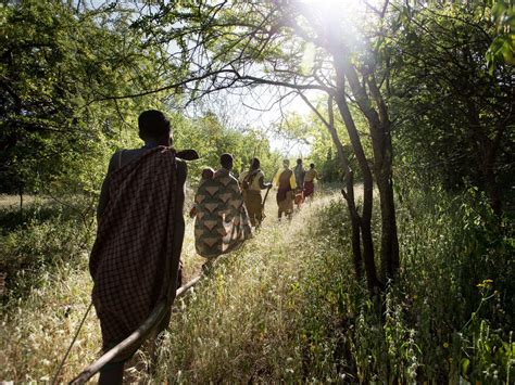 The Last Hunter Gatherers National Geographic Hunter Gatherer Life