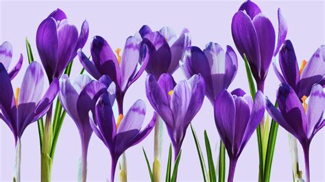 Einstein Analytics Dataflow Transformations Overview And What They Do