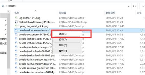 删除的文件怎样恢复 零分猫
