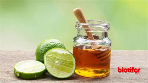 Manfaat Jeruk Nipis Dan Madu Khasiat Luar Biasa Untuk Kesehatan