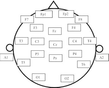 Topomap Showing EEG Sensors Locations On The Scalp Download Scientific Diagram