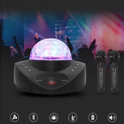 SDRD SD-308 2 in 1 Family KTV Portable Wireless Live Dual Microphone ...