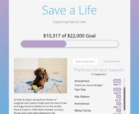 Fundraising Forms For Collecting Donations And Donor Information Online