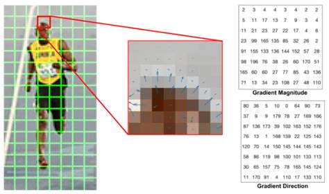 [opencv] Hog 알고리즘 보행자 검출 공부하는 개발자