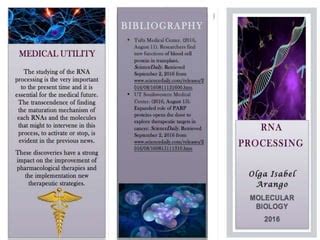 RNA Processing PPT