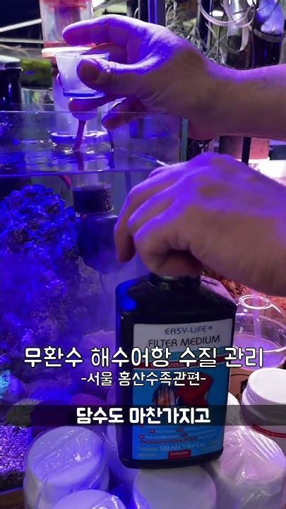홍산수족관 14편 무환수 해수어항은 딱 이거 2가지로 관리합니다 무환수어항 Youtube