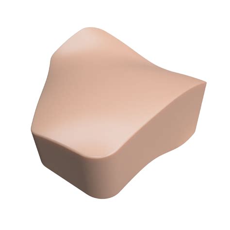 Pecs Block Trainer Module Ecoicatech 2022