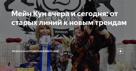 Мейн Кун вчера и сегодня от старых линий к новым трендам Мейн Кун КотоФейня Dark Flame Дзен