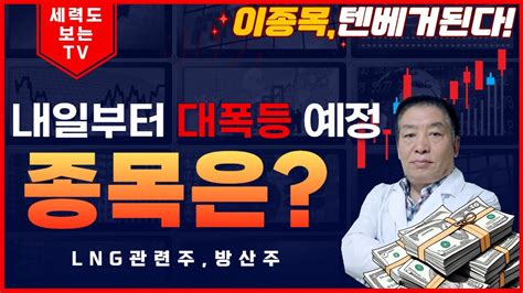 내일부터 폭등예정주 소개 삼성전자넥스틸휴스틸클로봇에어레인포스코스틸리온포스코인터내셔널m83한화비전hj중공업지엔씨에너지한화시스템피아이이텐베거종목