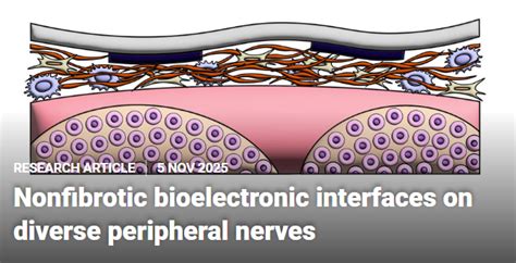 Mit赵选贺教授吴晶晶研究团队发完nature再发science子刊，开发 无纤维化黏附性生物电子界面”，为神经调控开辟长期稳定新路径 材料牛