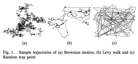 Levy Walks Ascription Is An Anathema To Any Enthusiasm