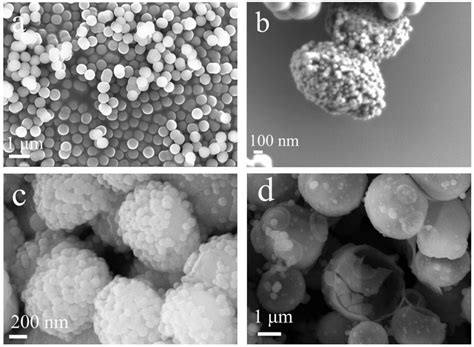 Microorganism Templated Nanoarchitectonics Of Hollow Tio2 Sio2