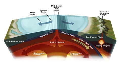Subduction Zone Diagram A Hidden Continent Birthed A New Subduction